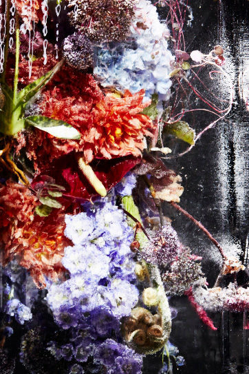#ArtinBloom：崩壞的美感，日本藝術家 Azuma Makoto 讓時間為花朵賦予新定義 - The Femin